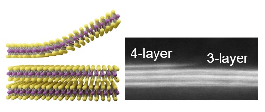 Songlin Li's Lab in NJU
