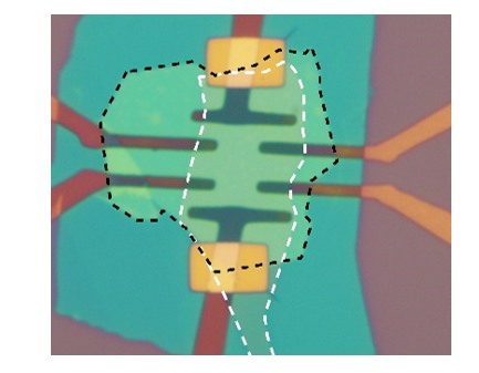 Songlin Li's Lab in NJU