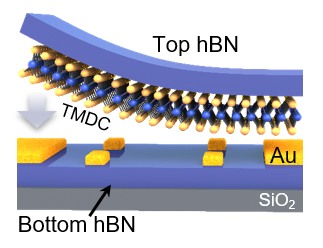 Songlin Li's Lab in NJU