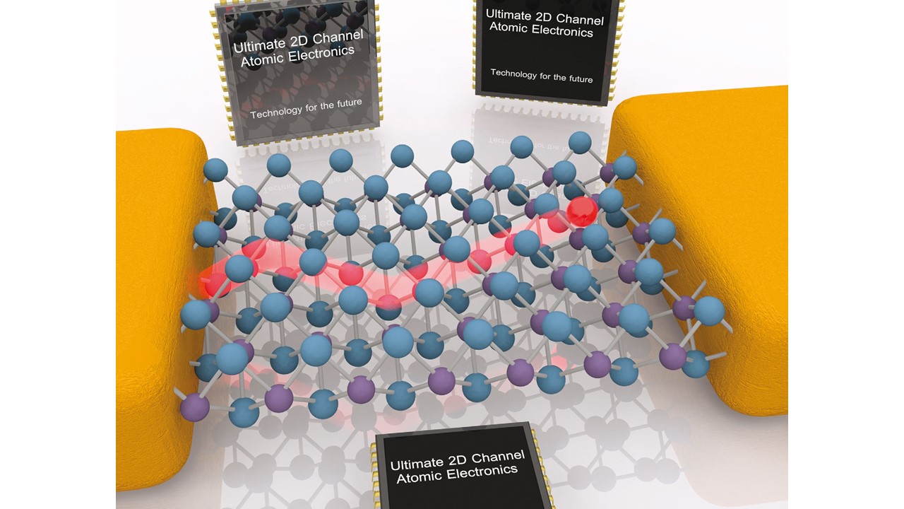 Songlin Li's Lab in NJU